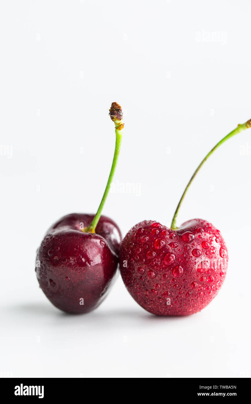 New zealand red cherry red carrot closeup variety lapin white ...