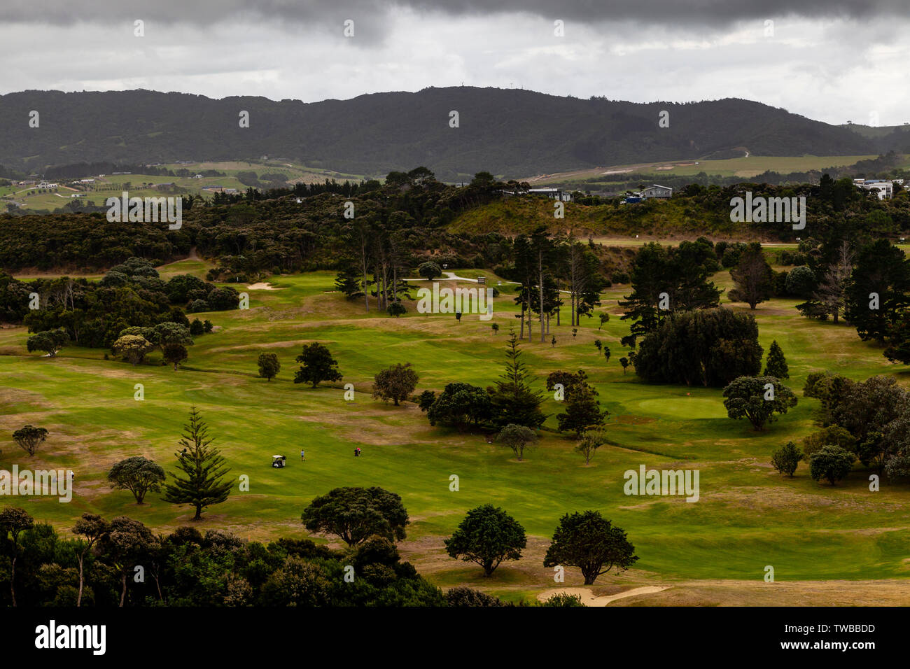 Golf Course At Mangawhai Heads, Mangawhai, North Island, New Zealand ...