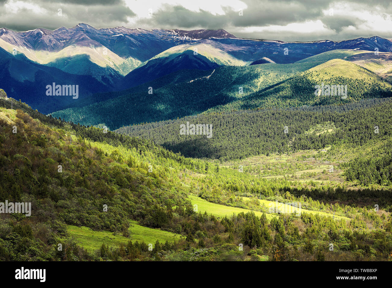 Scenery of Lulang Linhai in Yingzhi region, Tibet Stock Photo - Alamy