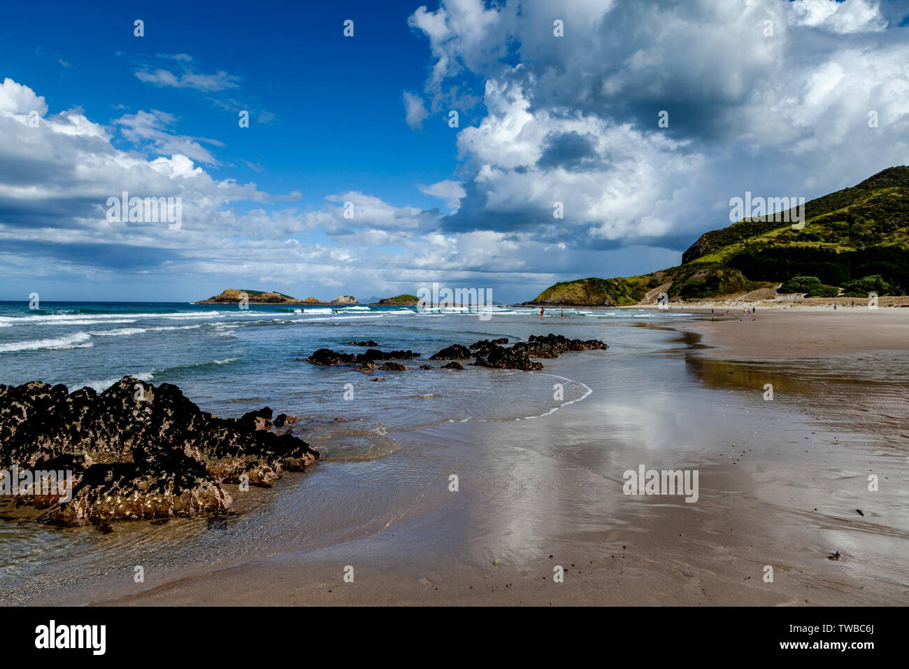 Whangarei beaches new zealand hi-res stock photography and images - Alamy