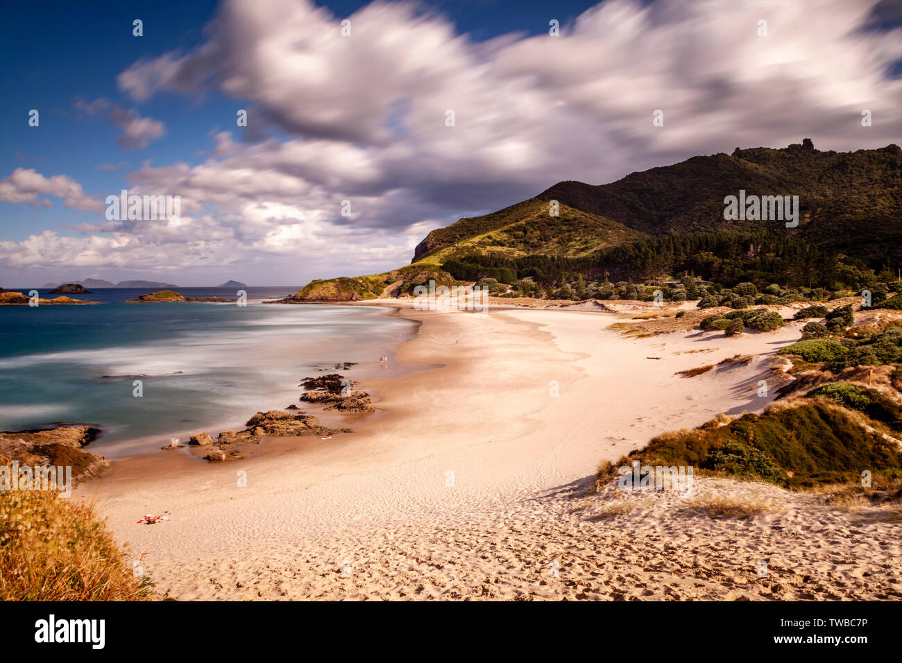 Ocean Beach, Whangarei Heads, North Island, New Zealand Stock Photo - Alamy