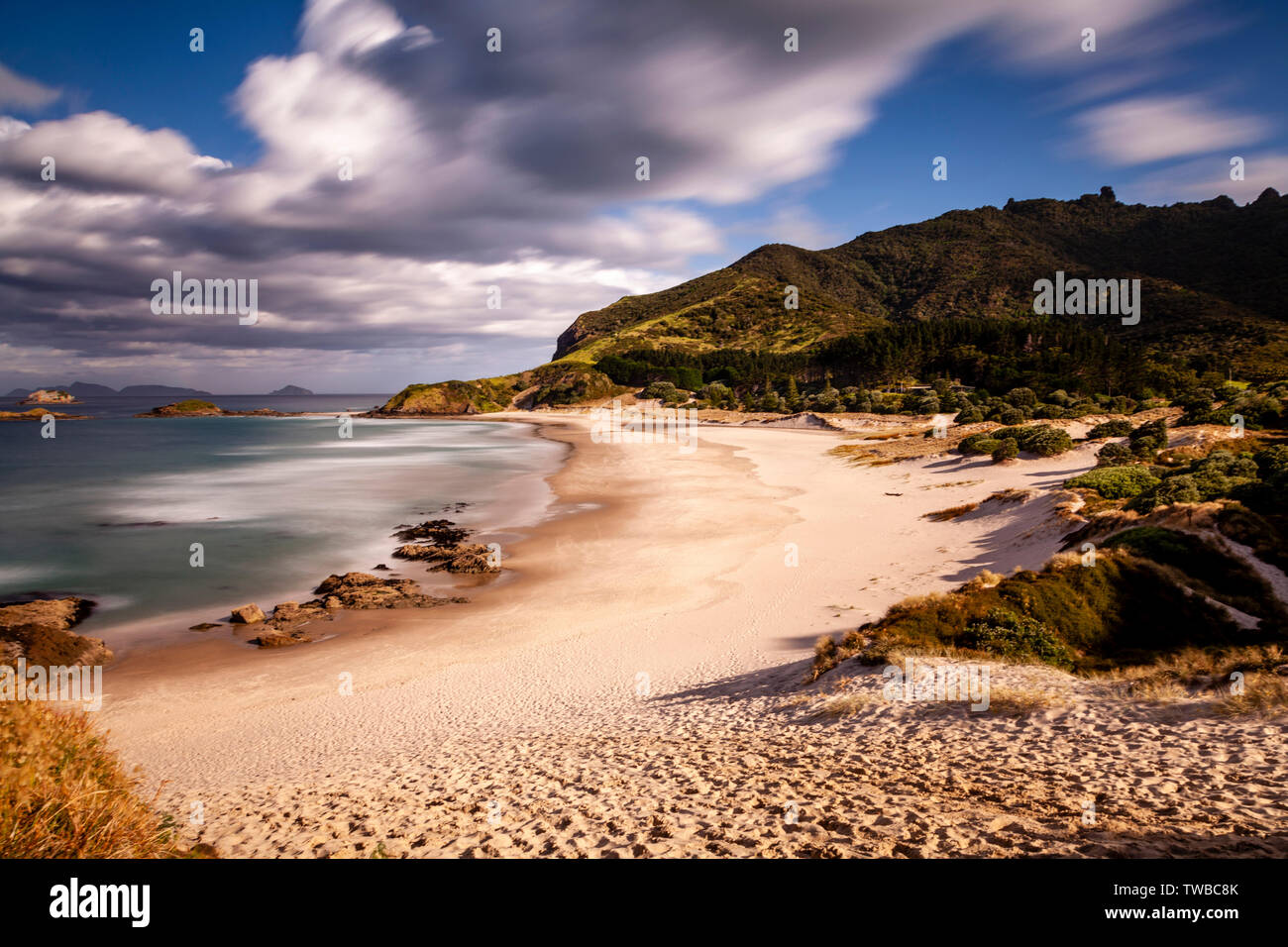 Secluded beaches of new zealand hi-res stock photography and images - Alamy