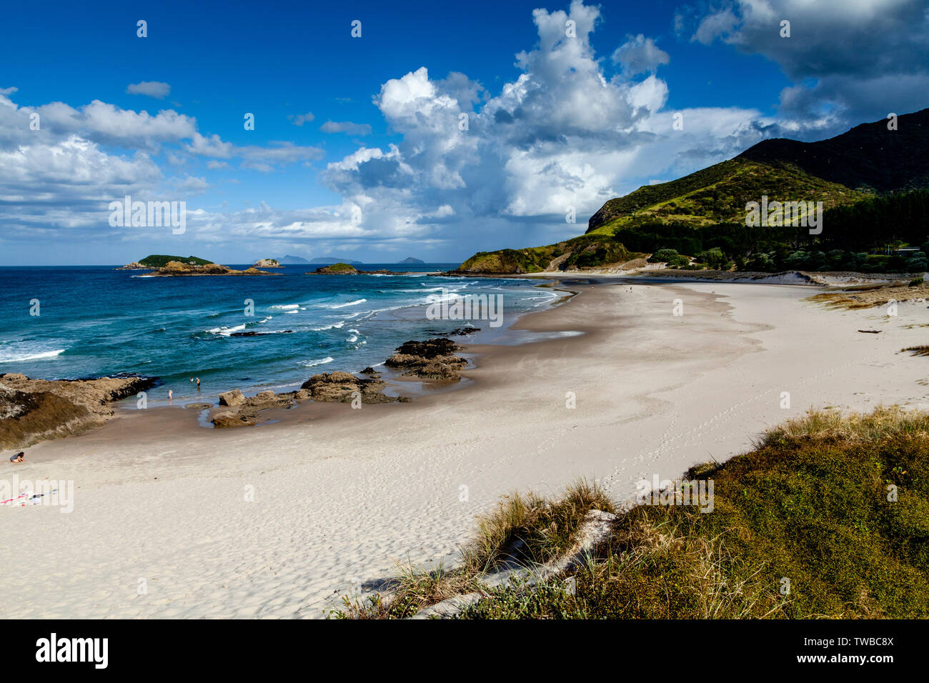 Whangarei beaches new zealand hi-res stock photography and images - Alamy