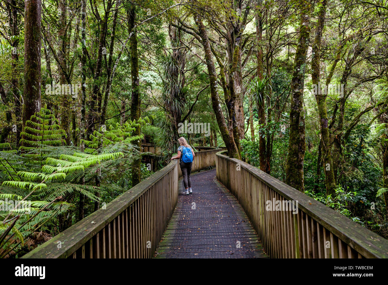 Ah reed park hi-res stock photography and images - Alamy