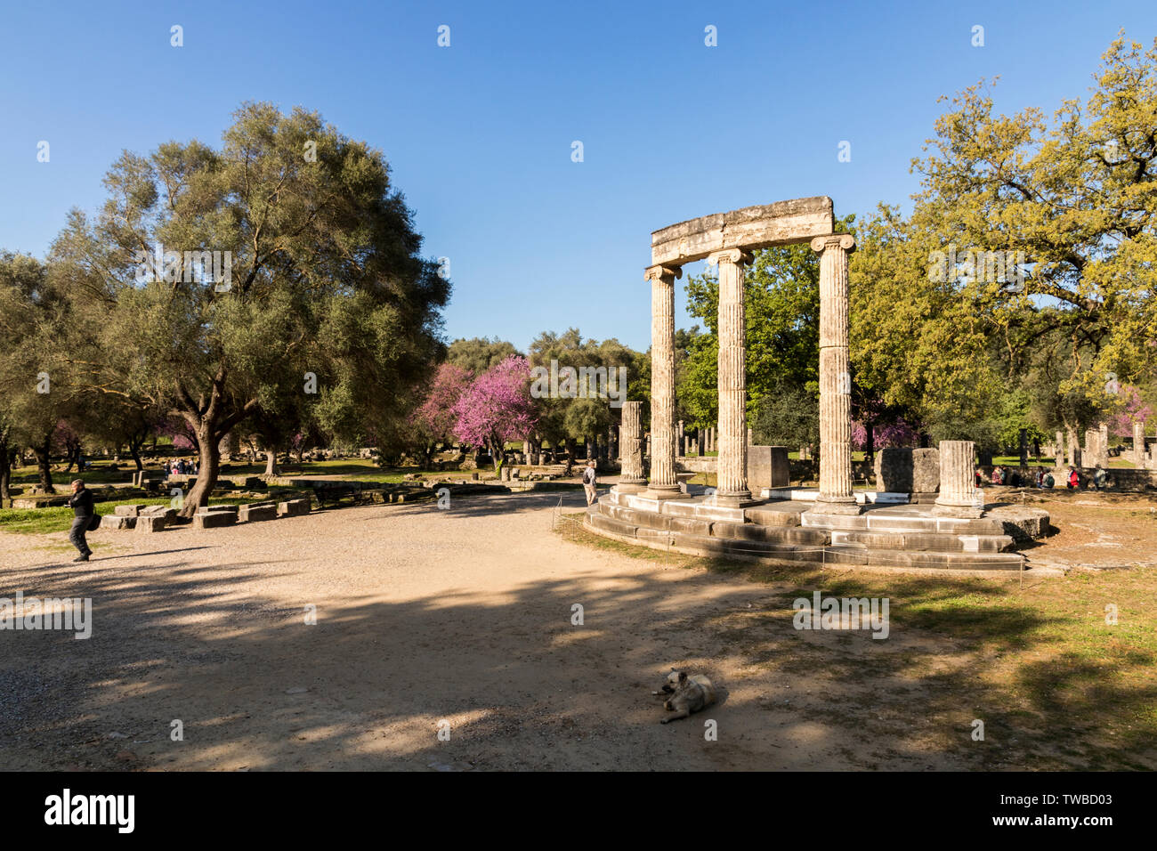 Olympia, Greece. The Philippeion, an Ionic circular memorial in ...