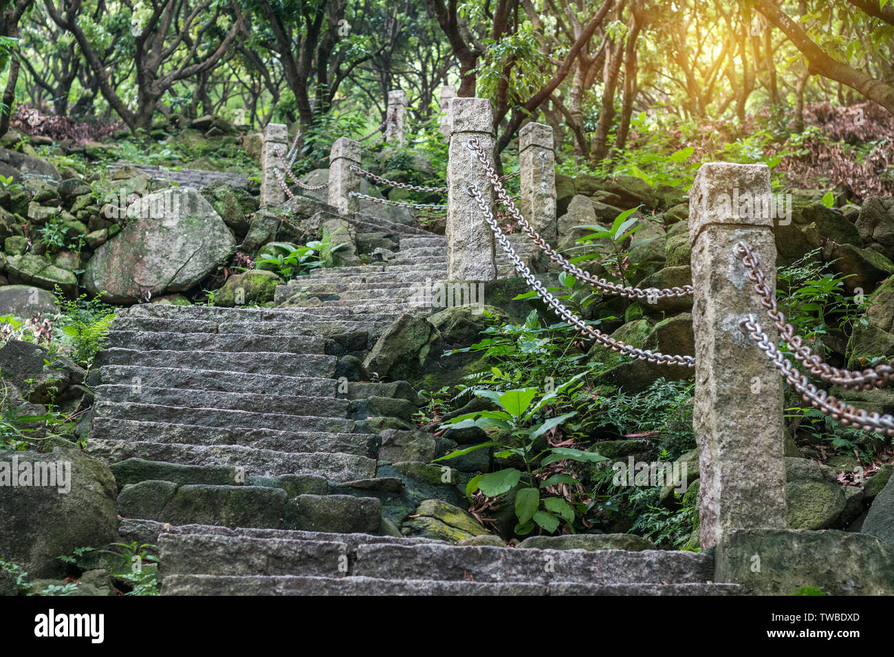 Bluestone road hi-res stock photography and images - Alamy