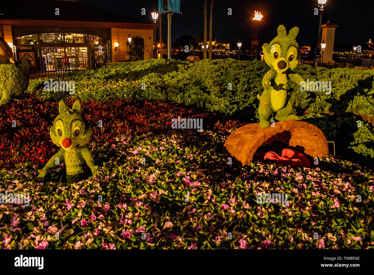 Orlando, Florida. June 03, 2019. Chip and Dale topiaries at Epcot in ...