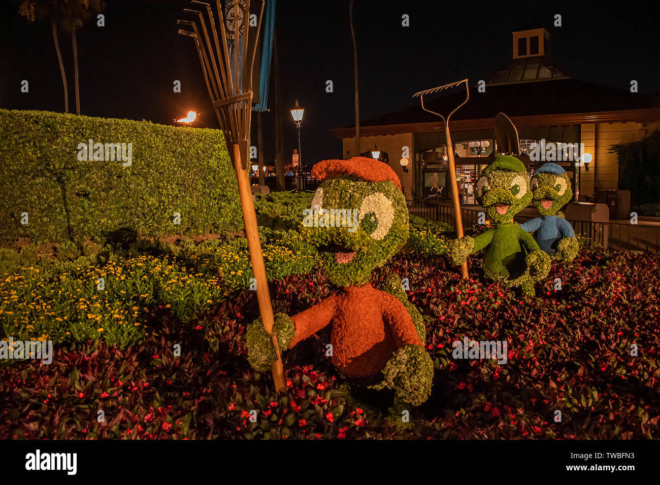 Orlando, Florida. June 03, 2019. Huey, Dewey & Louie topiaries at Epcot ...