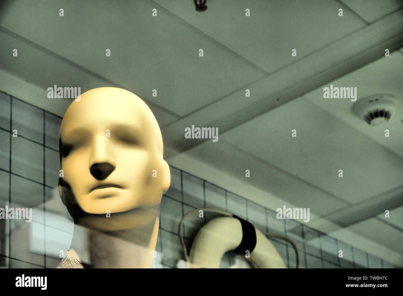 Expressionless male mannequin head looking past the viewer in a shop ...