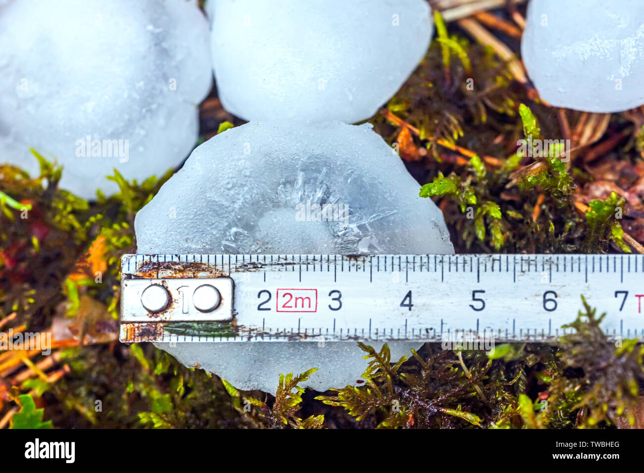 Hailstone damage europe hi-res stock photography and images - Alamy