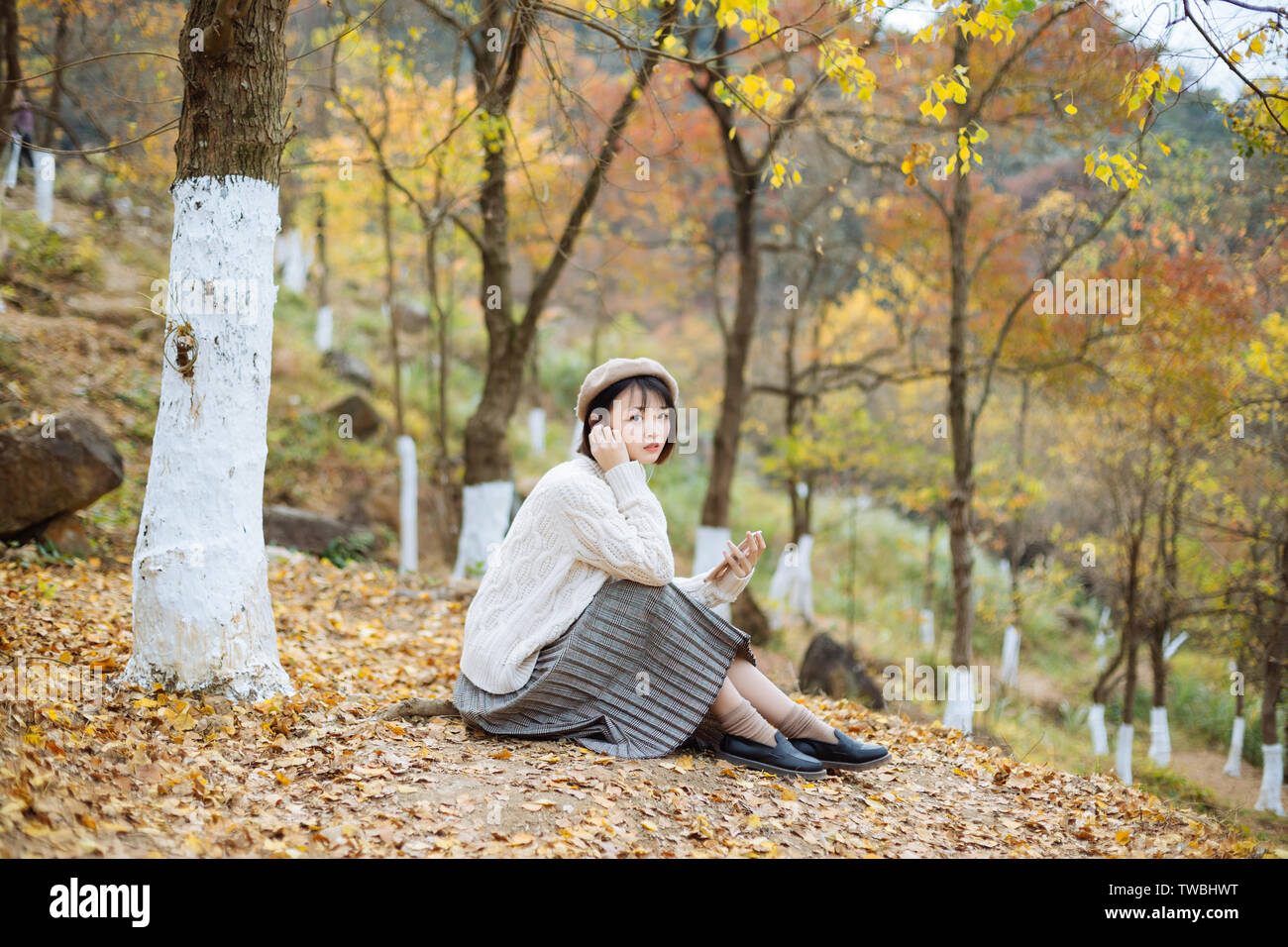 Shimen red leaf hi-res stock photography and images - Alamy