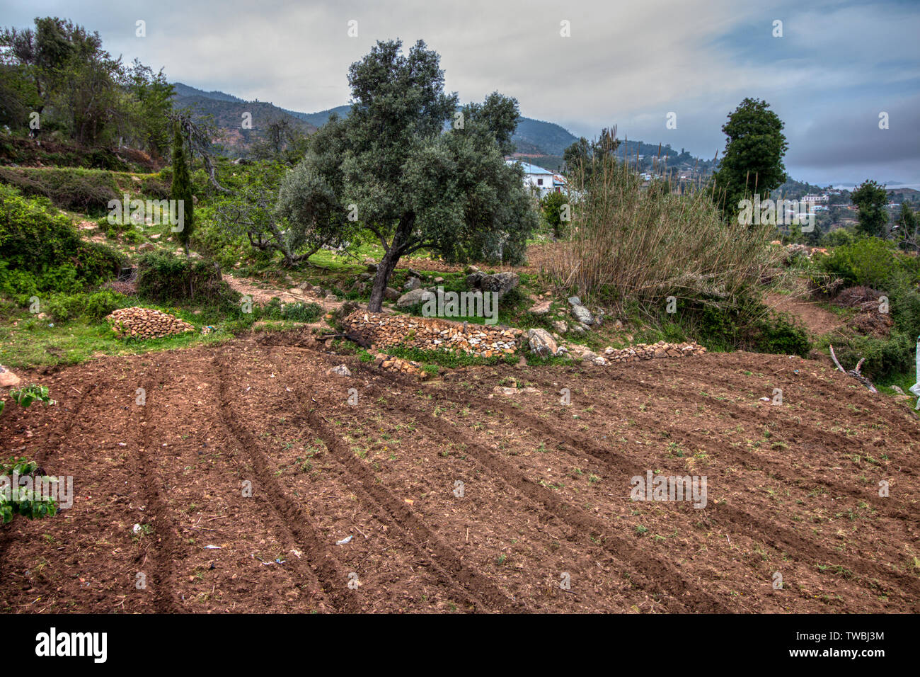 Rural scene with a field ready to sow Stock Photo - Alamy