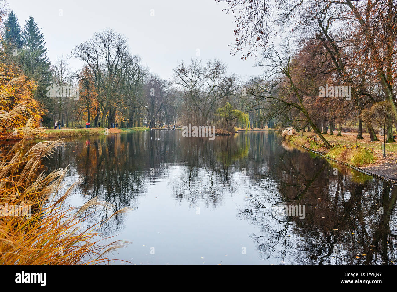 Lazienki Park or Royal Baths Park in autumn in Warsaw. Poland Stock ...