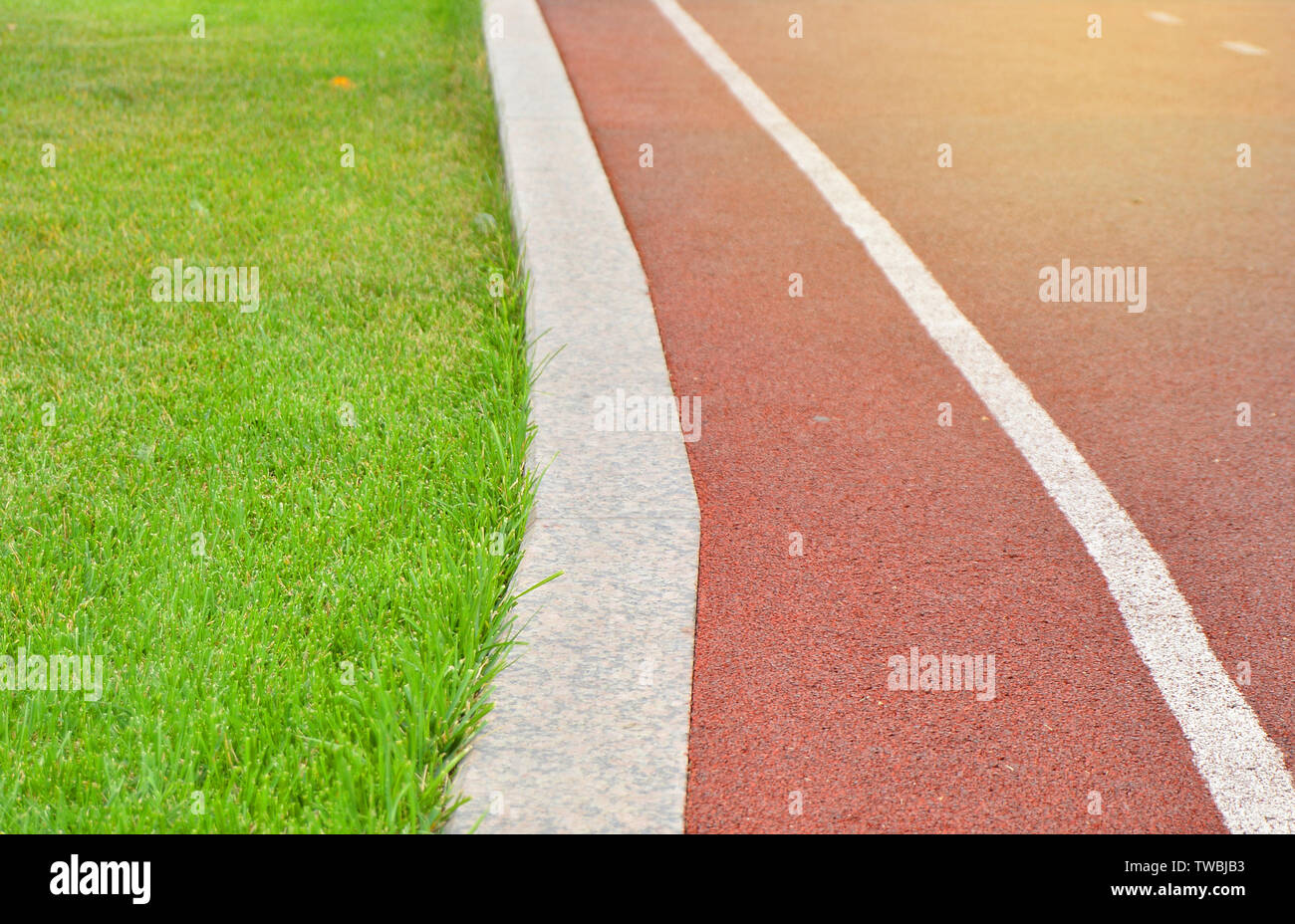 Modern treadmill trekking for Jogging in the Park on a Sunny summer day ...