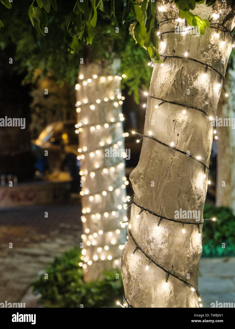 trendy tree decorated with lights in the street near the outdoor ...