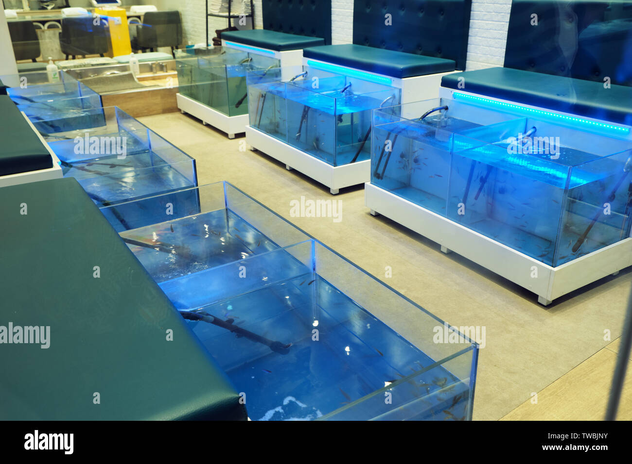 View of A fish therapy tank for both feet - Ichthyotherapy is the use ...