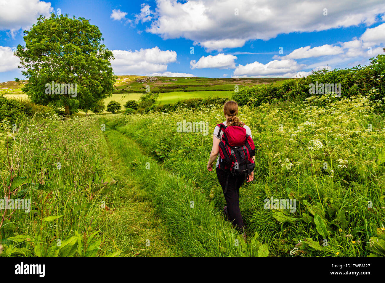 Walker uk countryside 2019 hi-res stock photography and images - Alamy