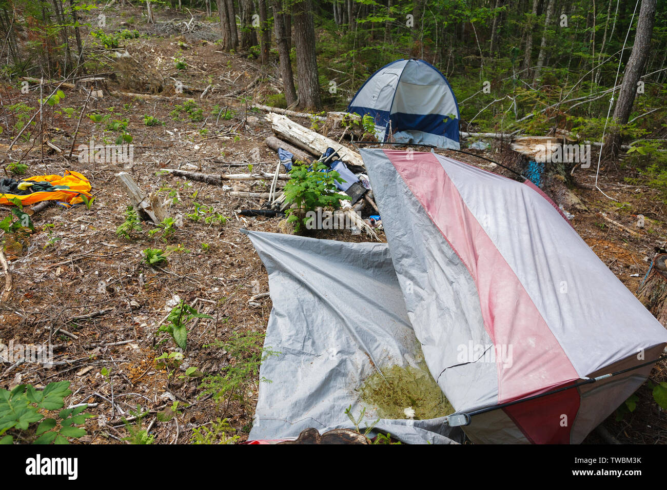 Poor leave no trace camping - Abandoned campsite off of Fire Road 511 ...