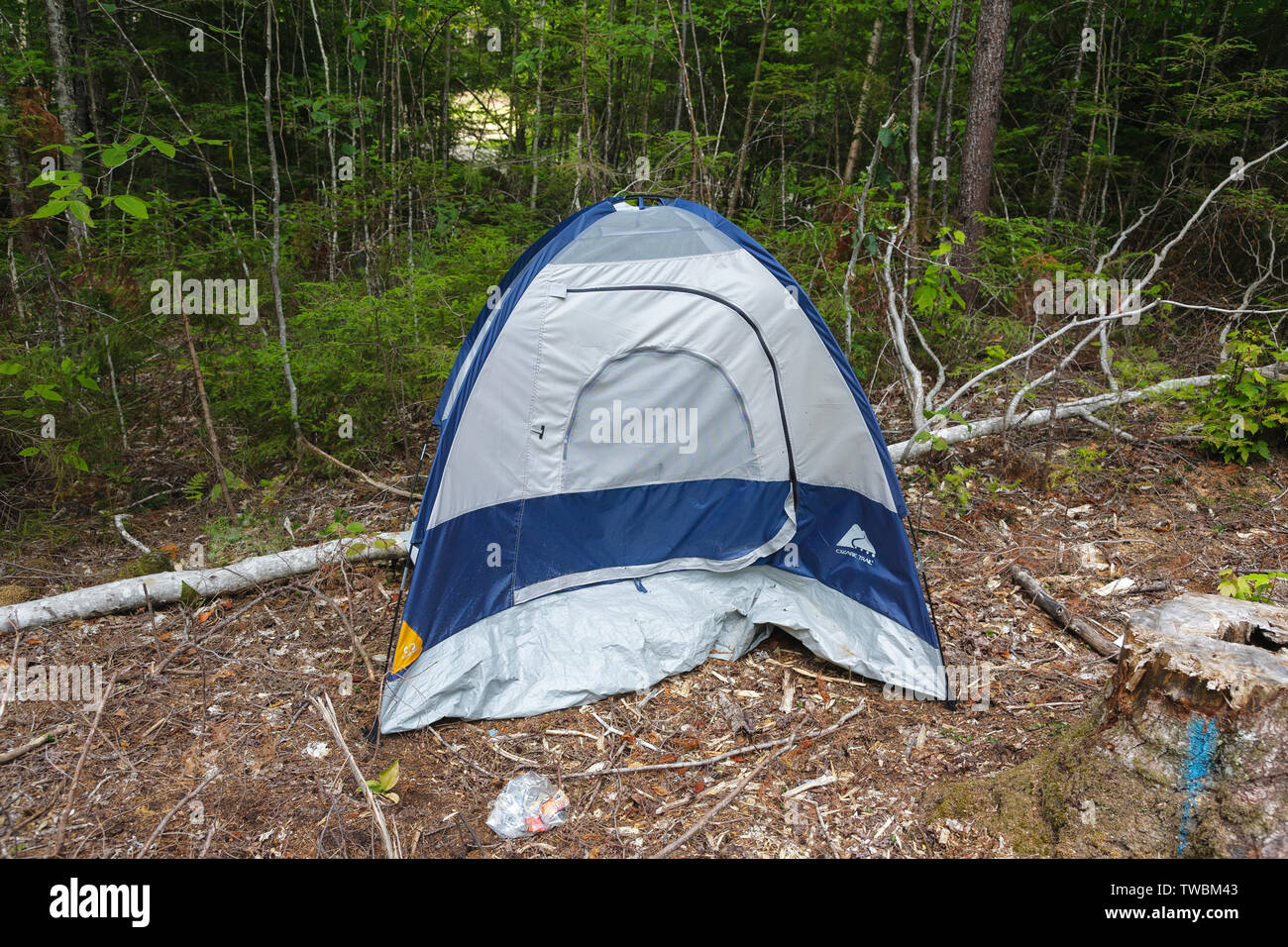 Poor leave no trace camping - Abandoned campsite off of Fire Road 511 ...