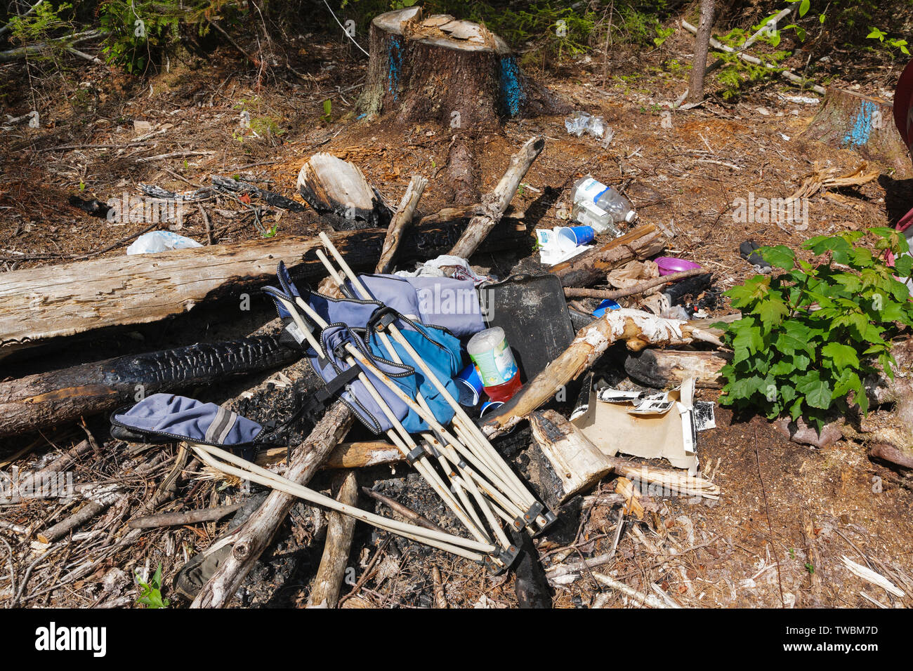 Poor leave no trace camping - Abandoned campsite off of Fire Road 511 ...