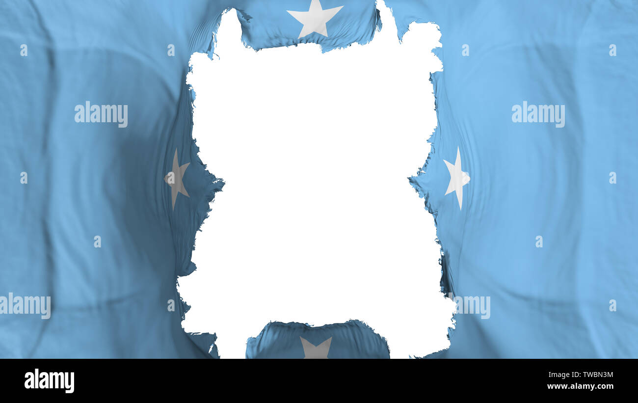 Ripped Micronesia flying flag Stock Photo - Alamy