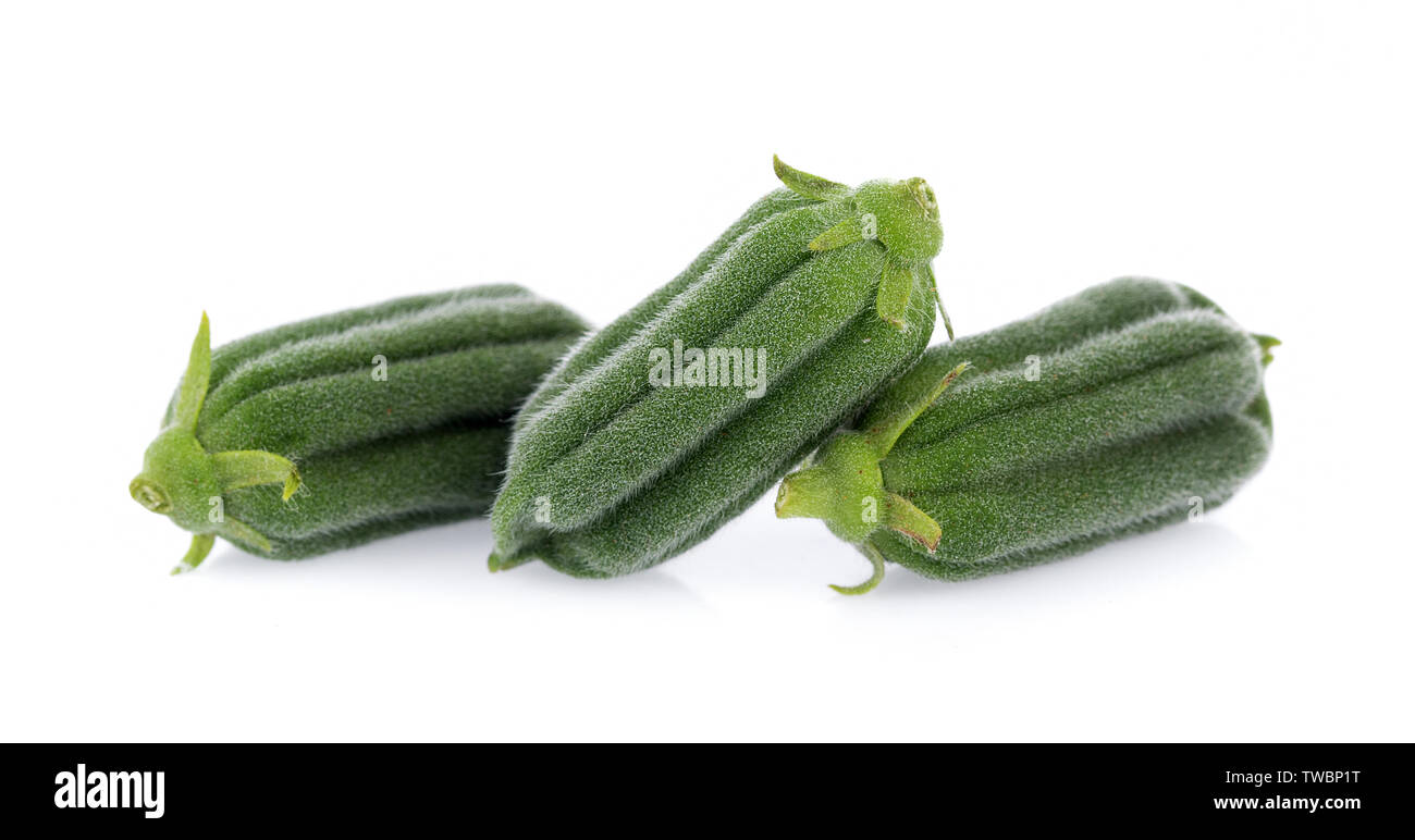 fresh sesame pods isolated on white background Stock Photo - Alamy