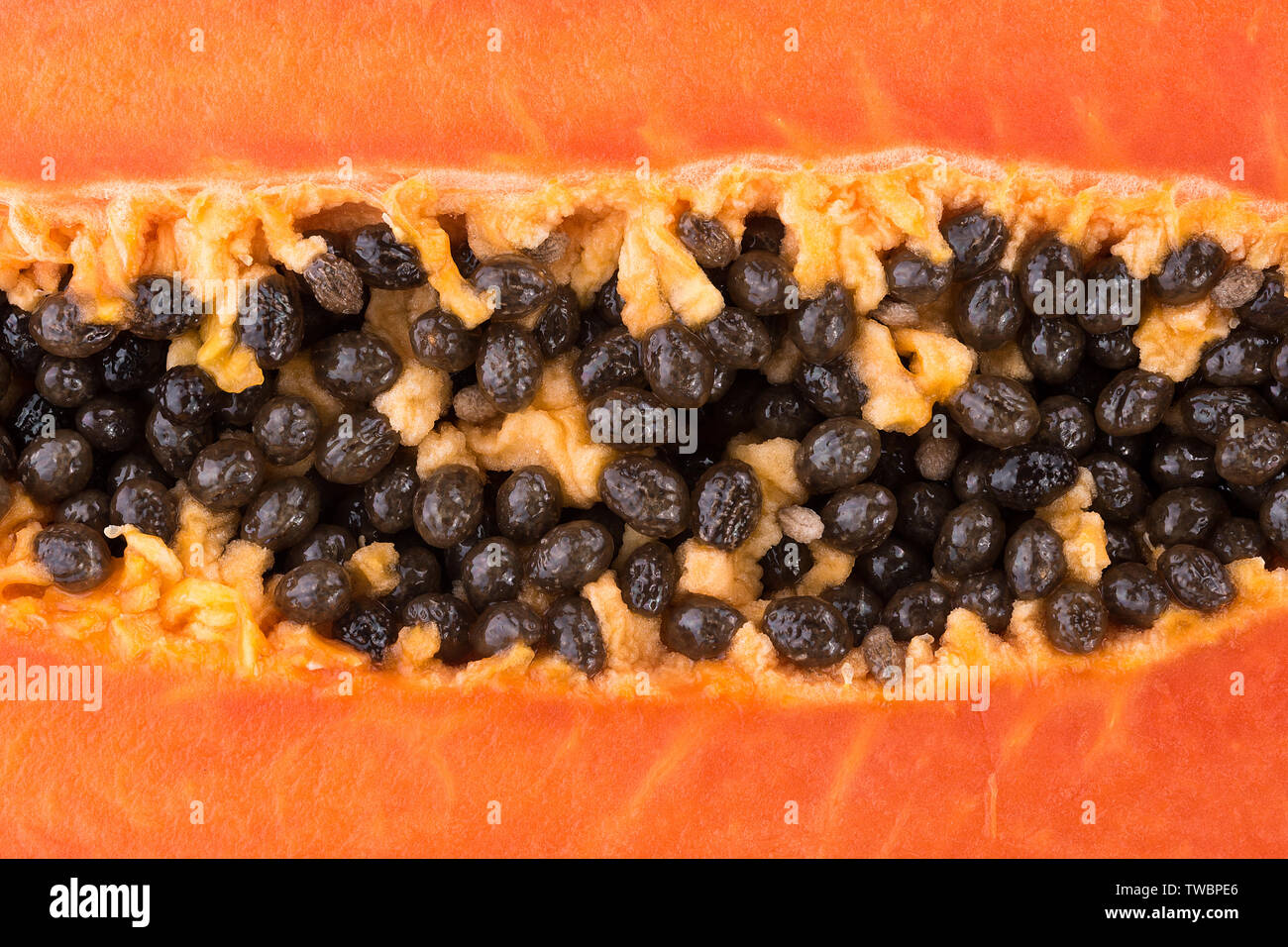 closeup papaya background Stock Photo - Alamy