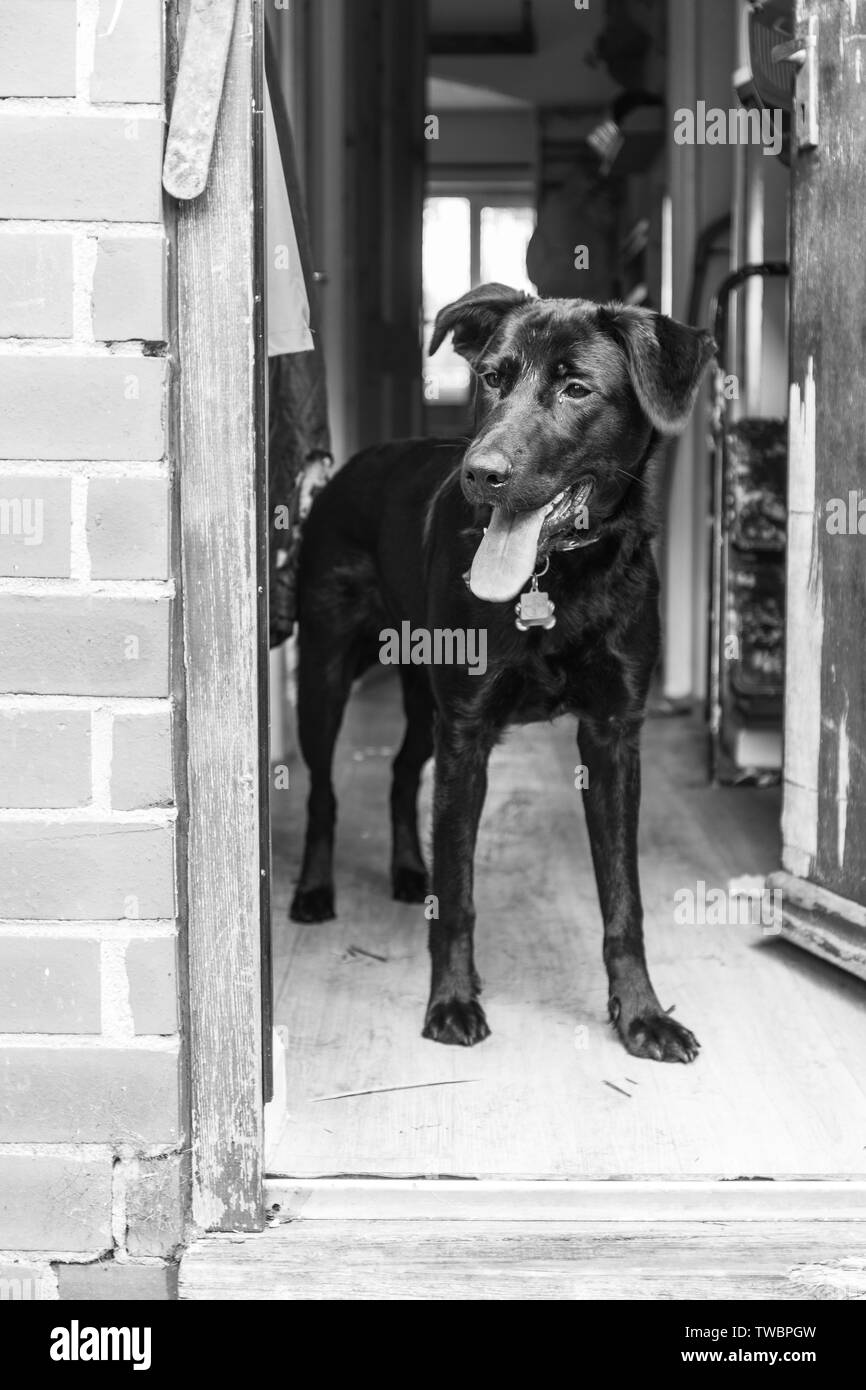 Life lovely Black and White Stock Photos & Images - Alamy