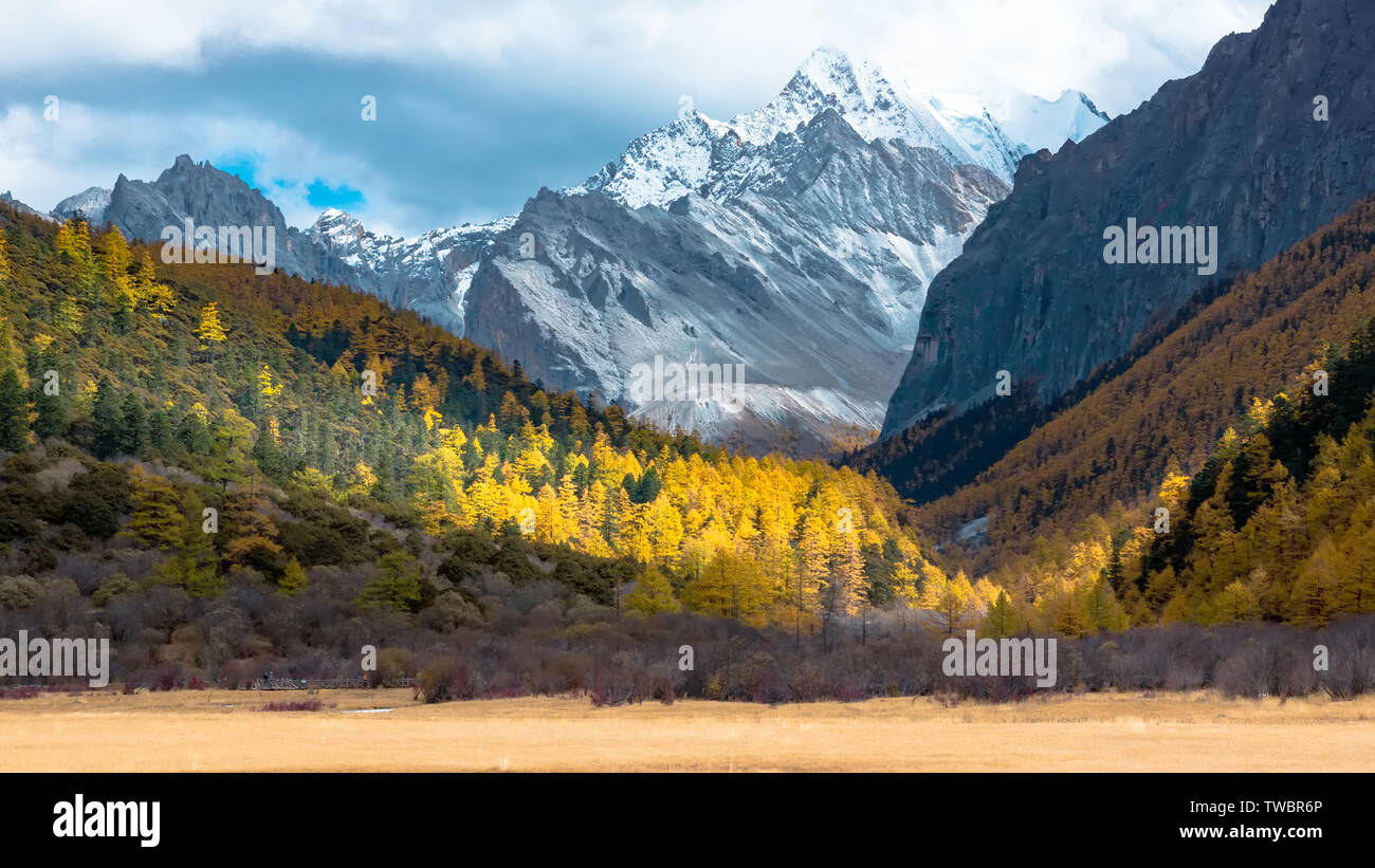 Rice city Aden autumn color Stock Photo - Alamy