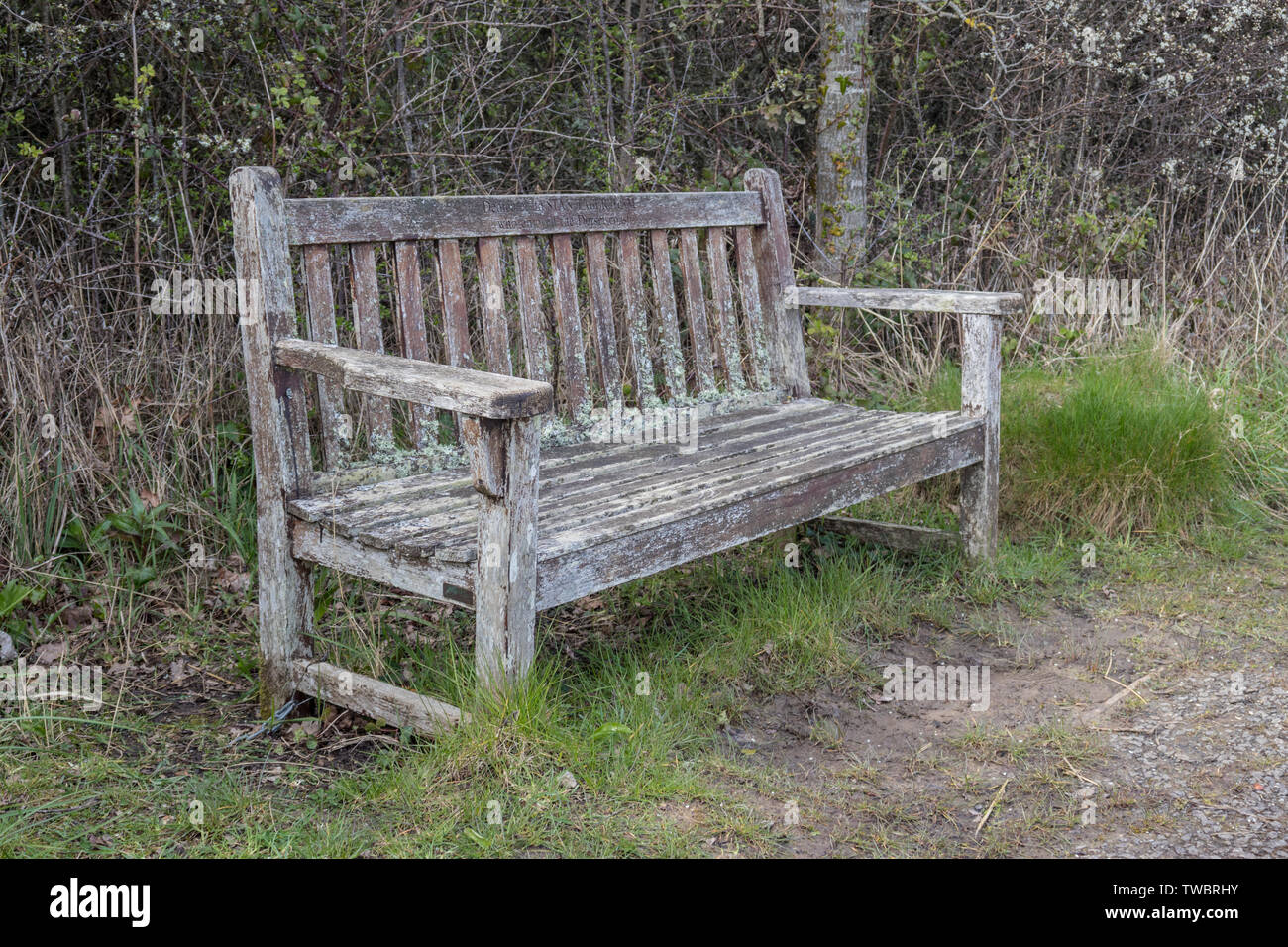 A old wooden bench covered in lichen Stock Photo - Alamy