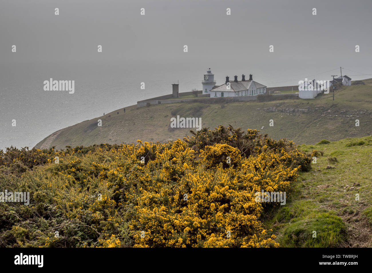 Anvil Point lighthouse, Swanage, Dorset, UK Stock Photo - Alamy
