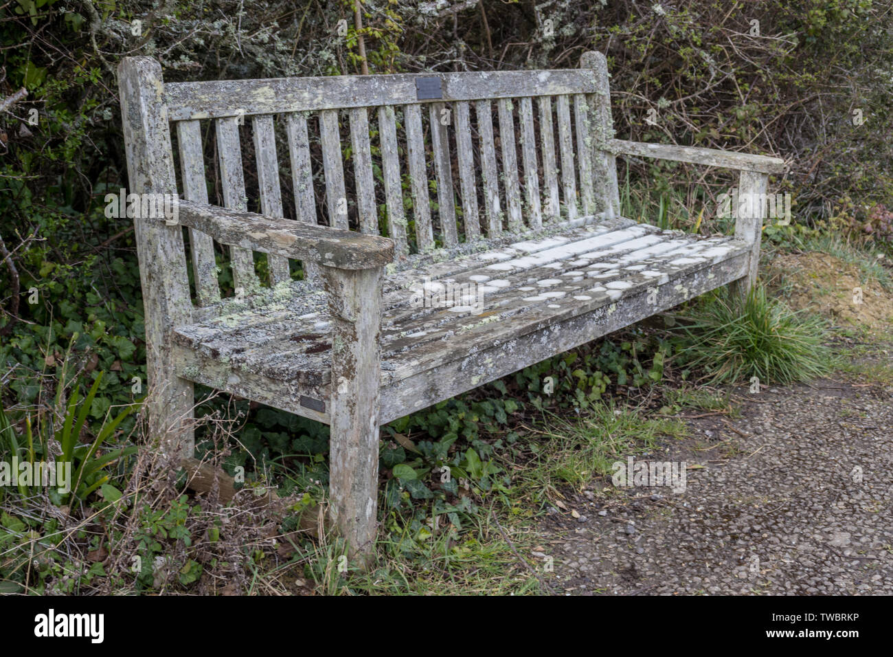 A old wooden bench covered in lichen Stock Photo - Alamy