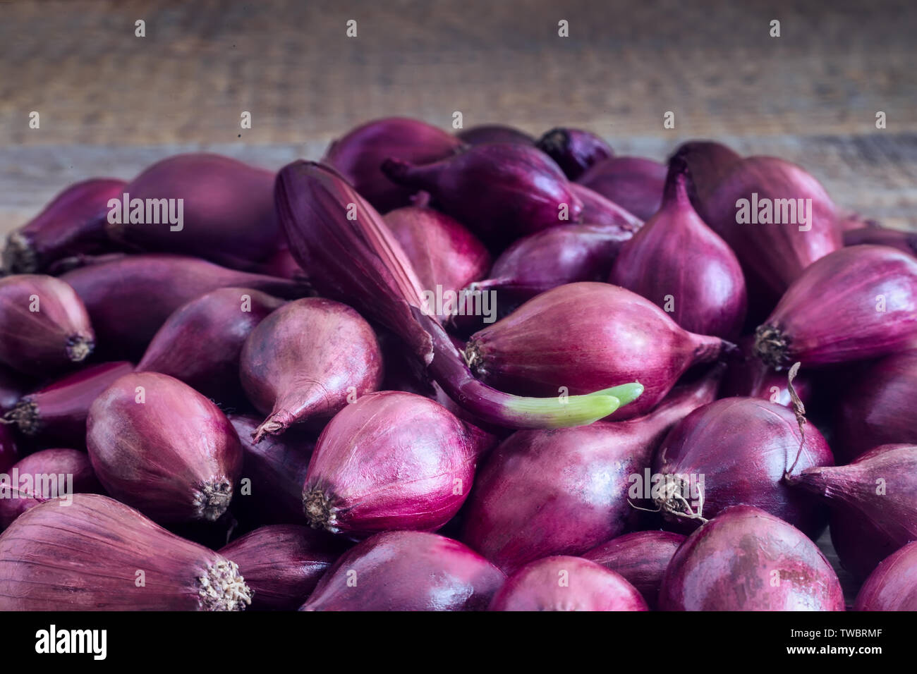Purple onion hi-res stock photography and images - Alamy