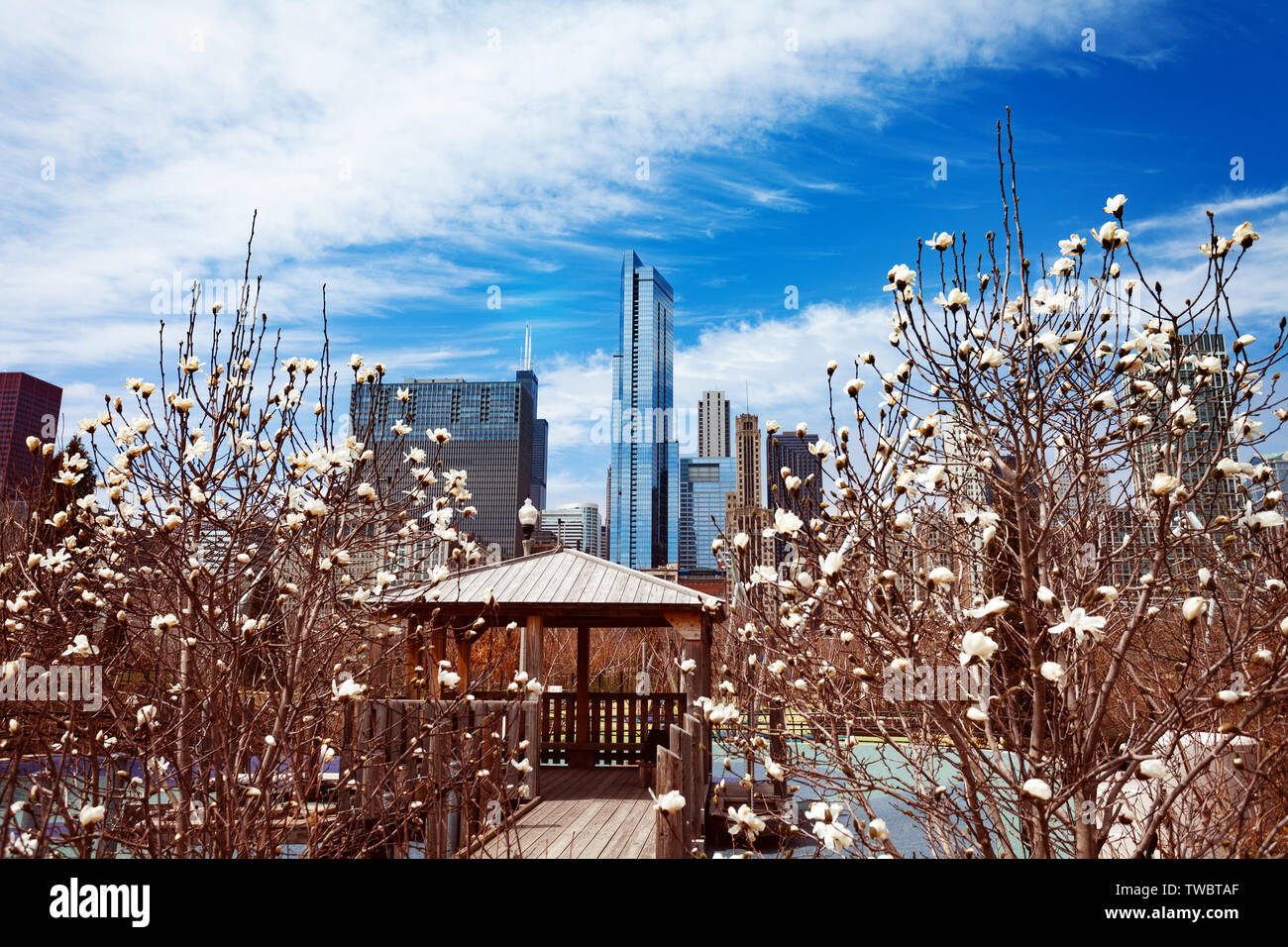 Maggie daley park chicago hi-res stock photography and images - Alamy
