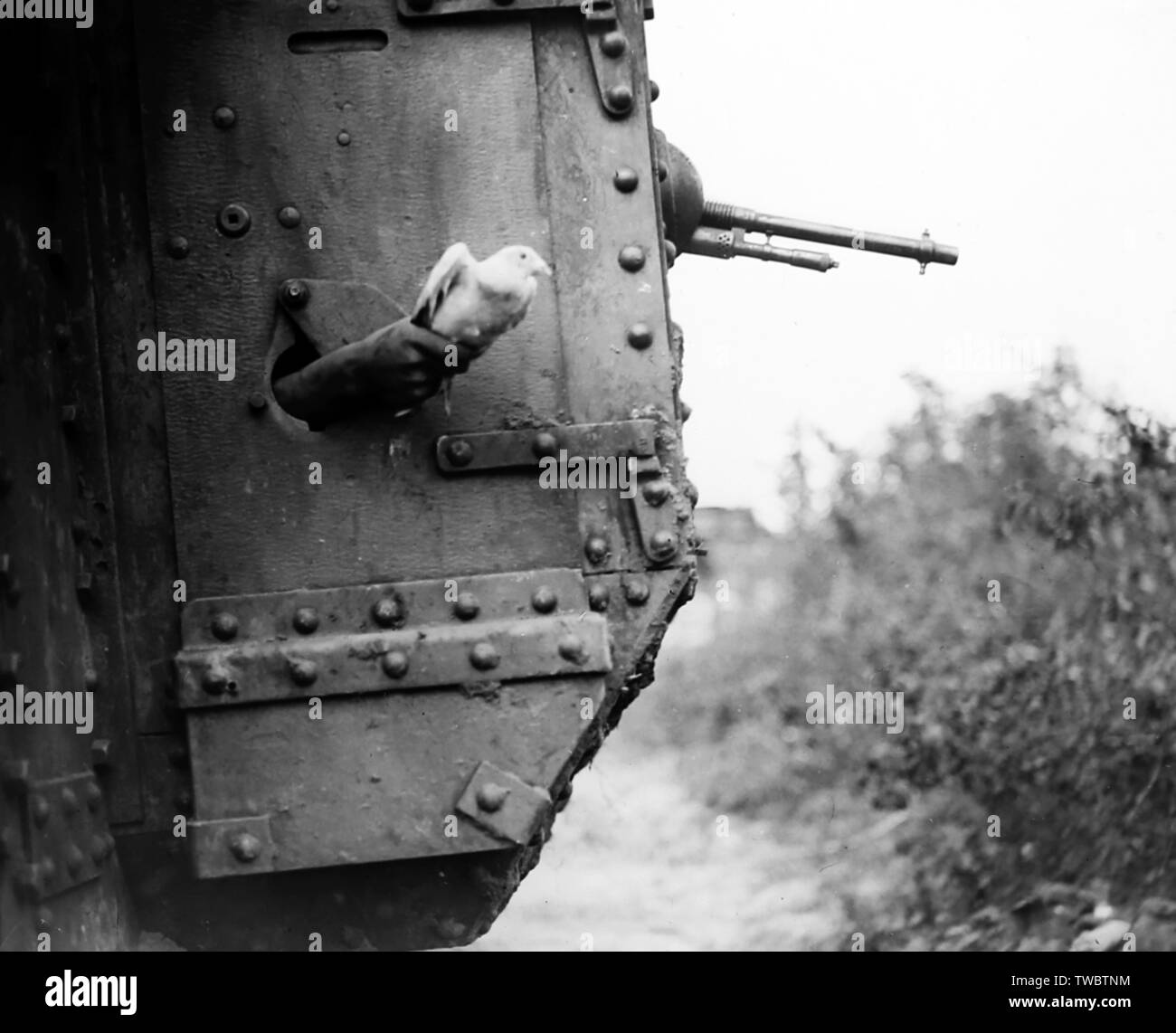 Ww1 Pigeon Carrier