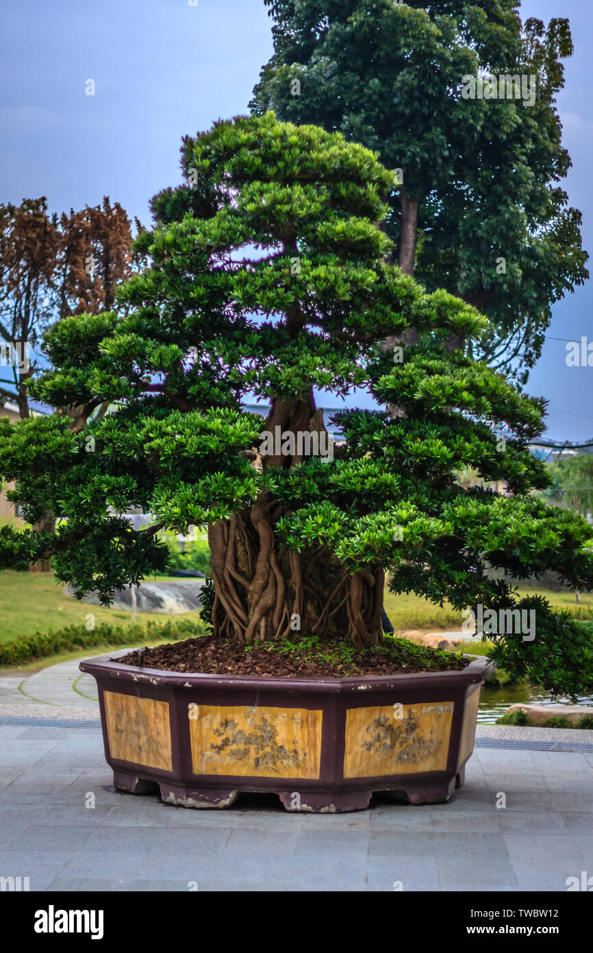 Luo Han Song, Zhongtai Zen Temple, Nantou, Taiwan Stock Photo - Alamy
