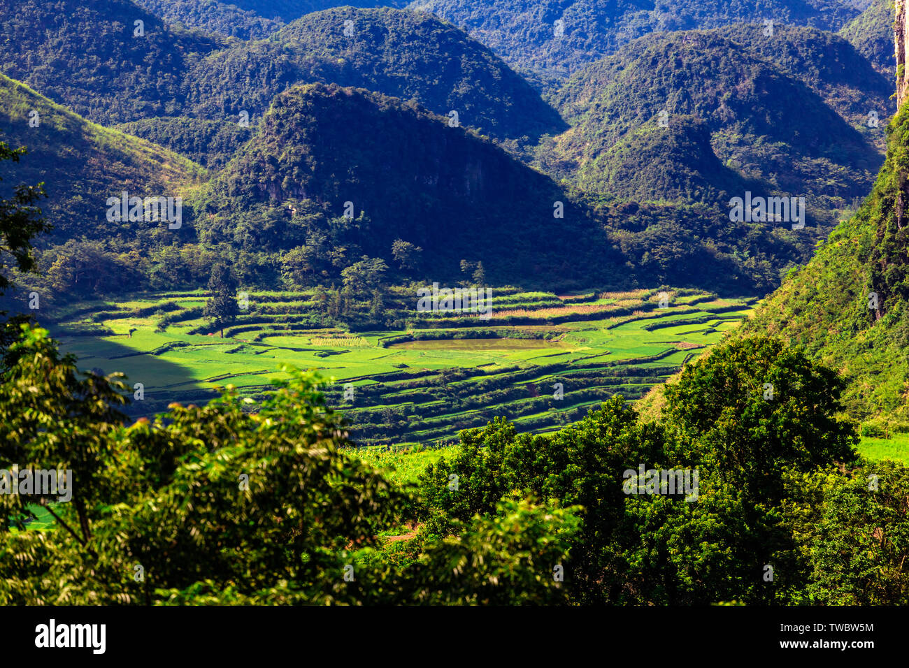 Nangang Pai Yaozhai natural scenery Stock Photo - Alamy