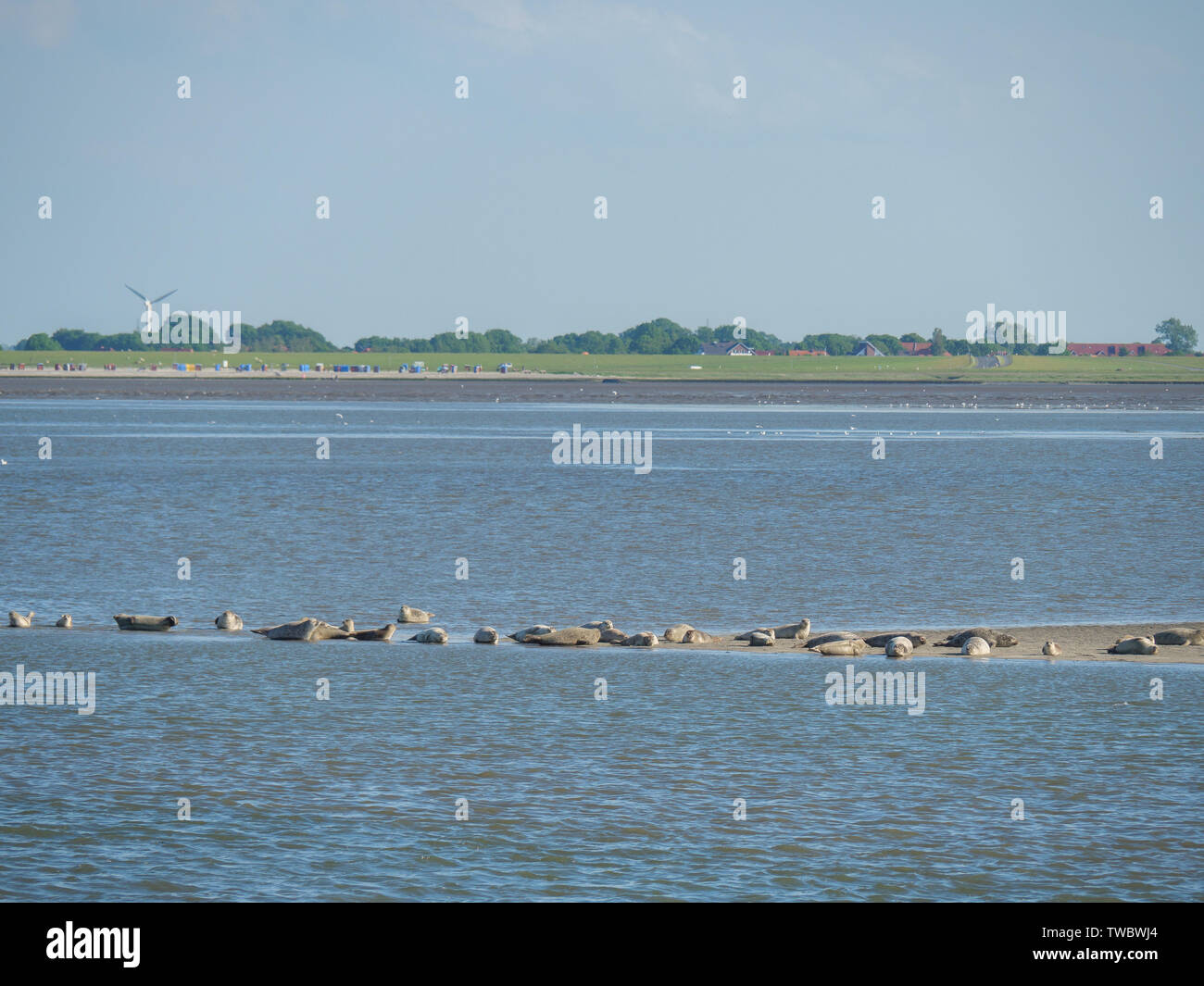the North sea in germany Stock Photo - Alamy