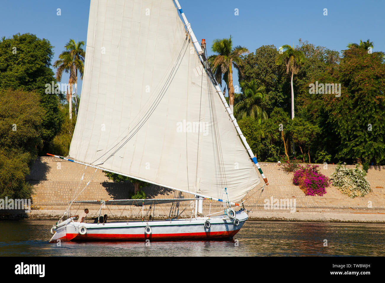 Faluca, Assuan, Valle del Nilo, Egipto Stock Photo - Alamy
