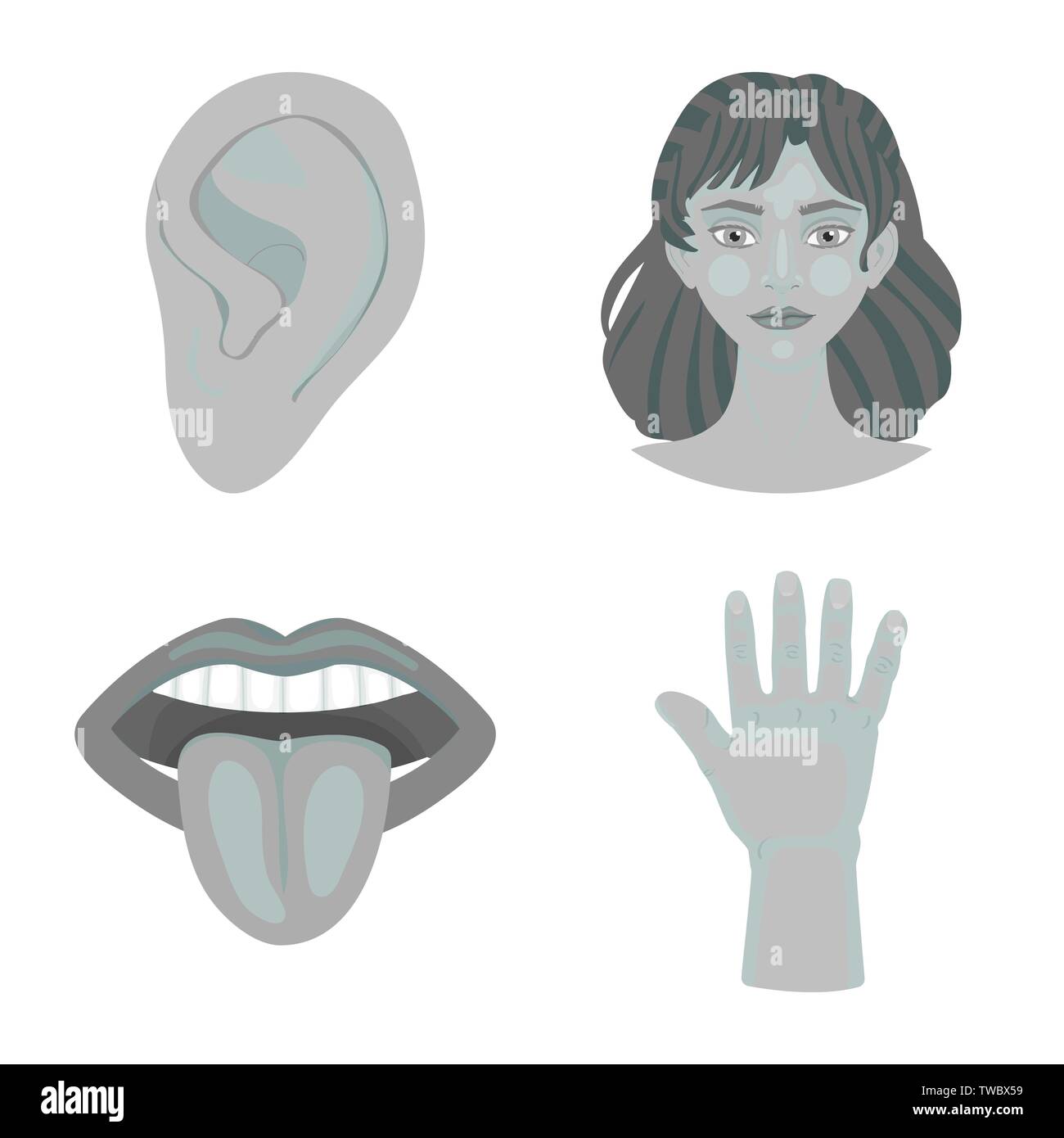 Vector illustration of body and part logo. Set of body and anatomy ...