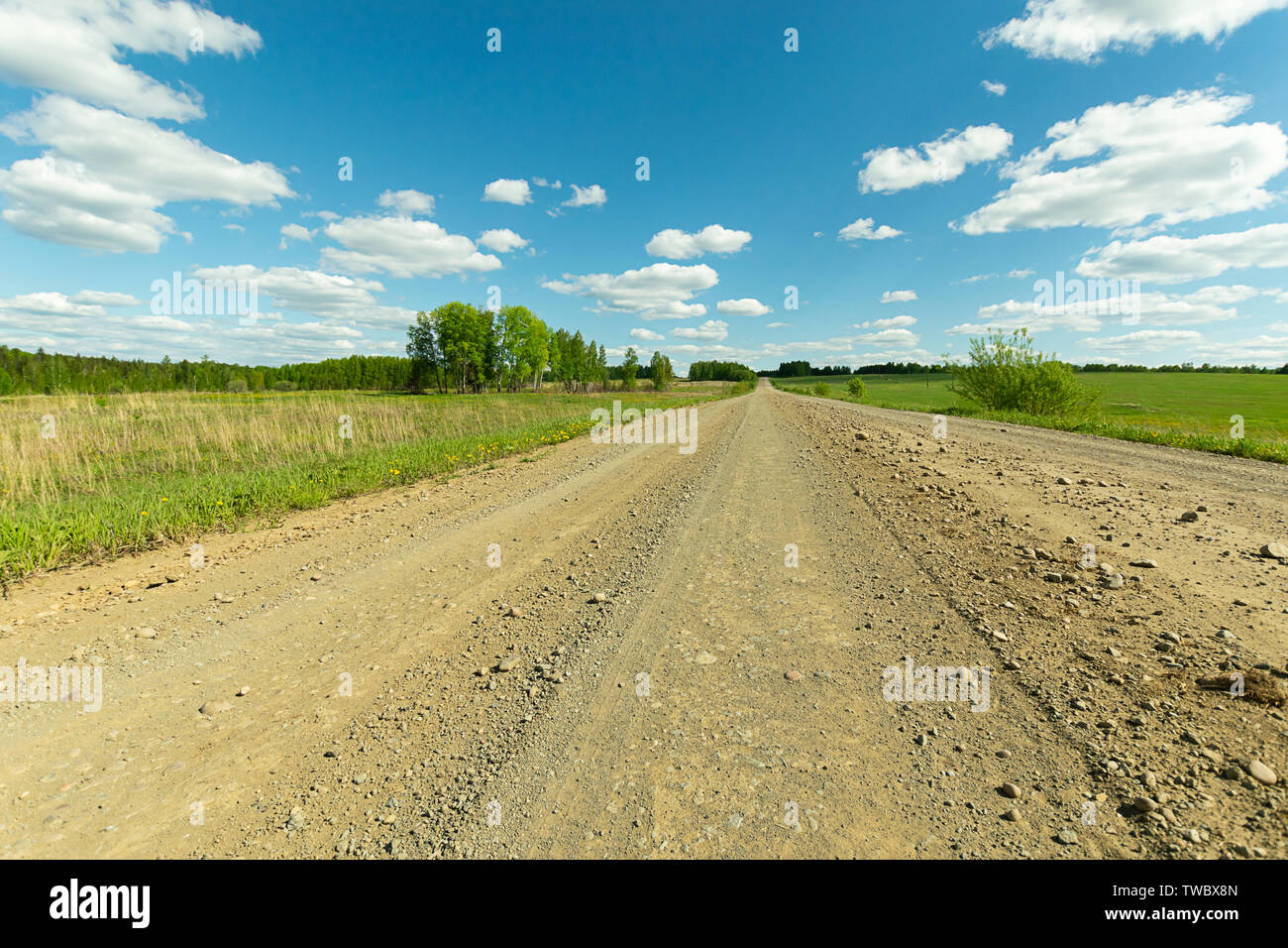 Dirt road in the countryside extending into the horizon and blue sky ...