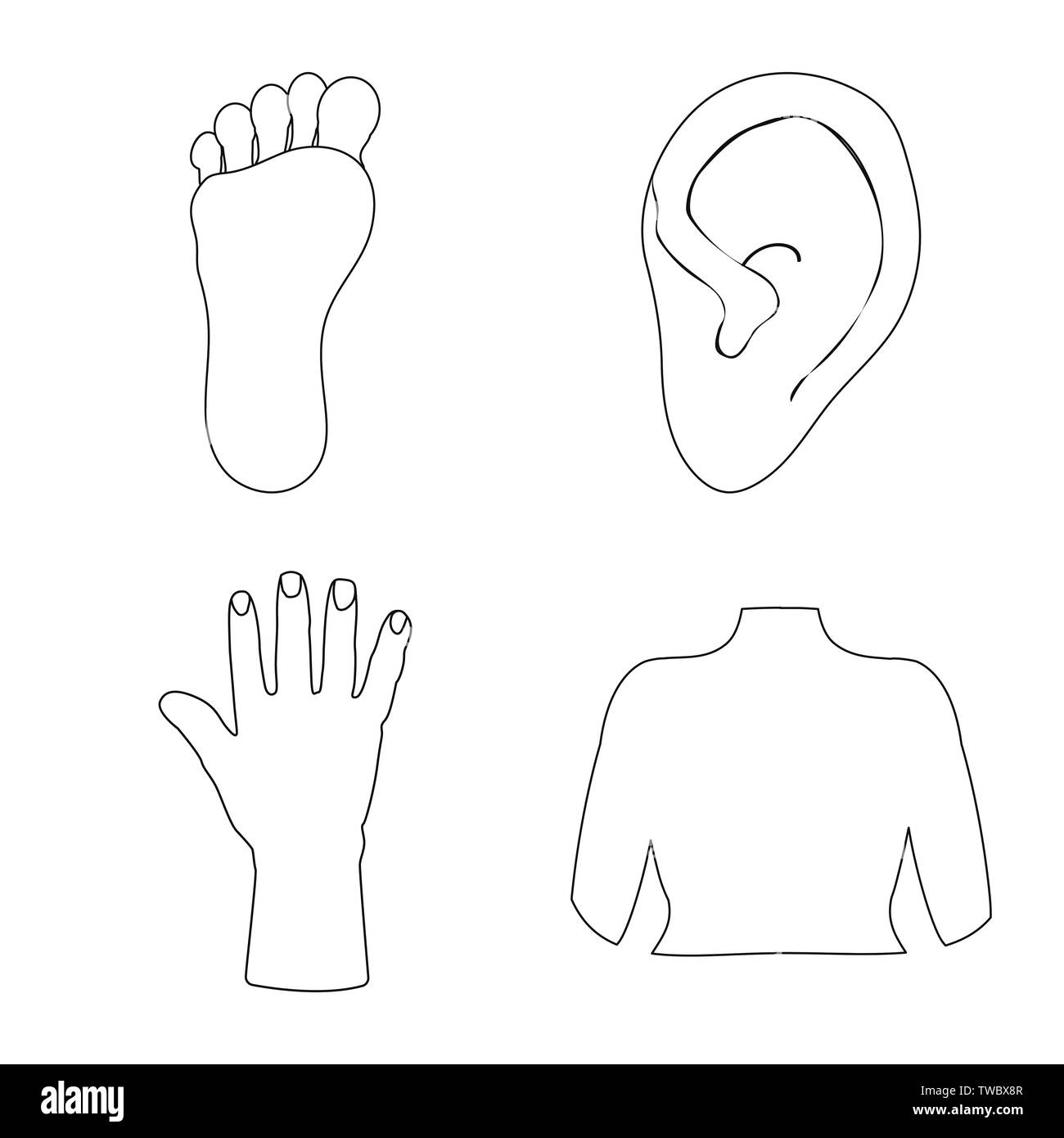 Isolated object of body and part icon. Collection of body and anatomy ...
