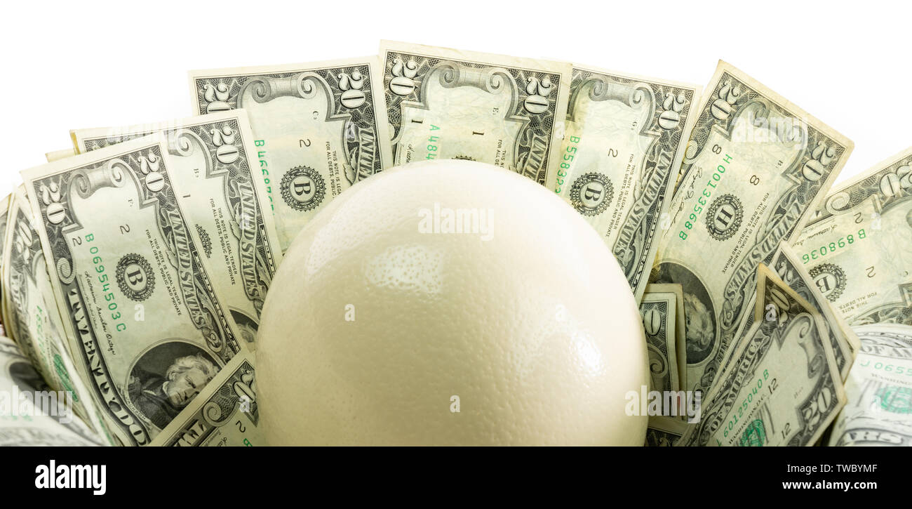 nest egg concept created with large ostrich egg surrounded by twenty ...