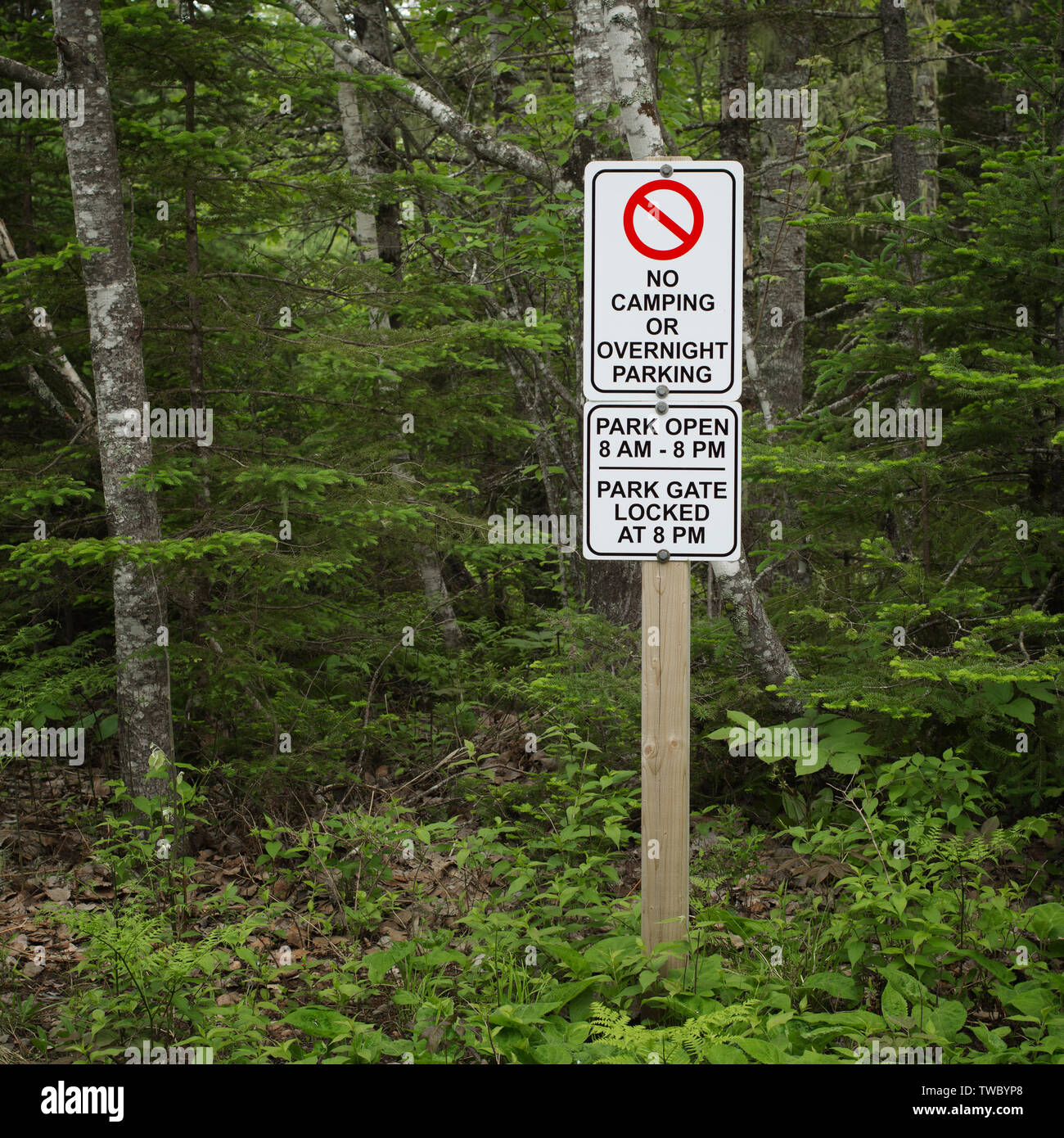No camping warning sign camp hi-res stock photography and images - Alamy