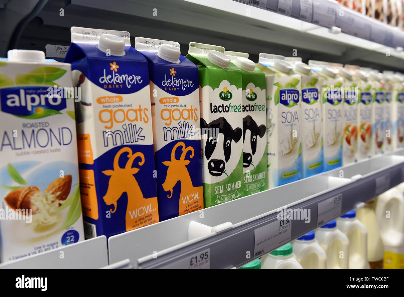 Different milks on sale in a supermarket UK Stock Photo - Alamy