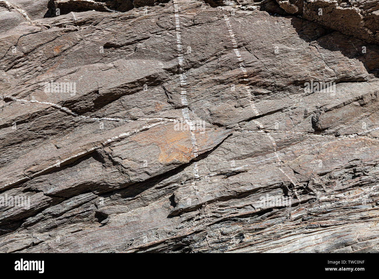 Texture of the surface of the natural rock, where you can see the ...