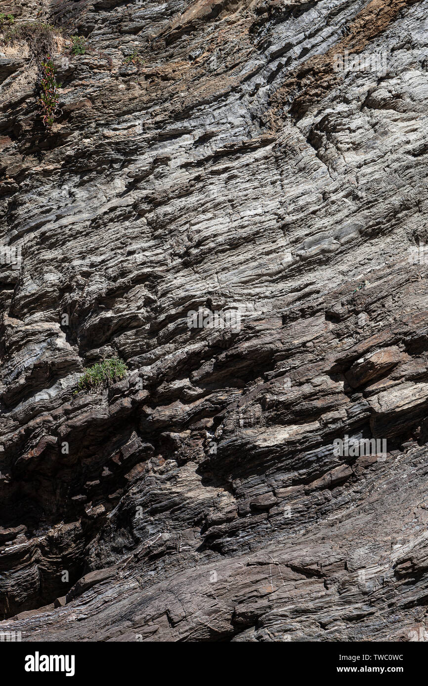 Textured surface of natural rock, where you can see the lines drawn in ...