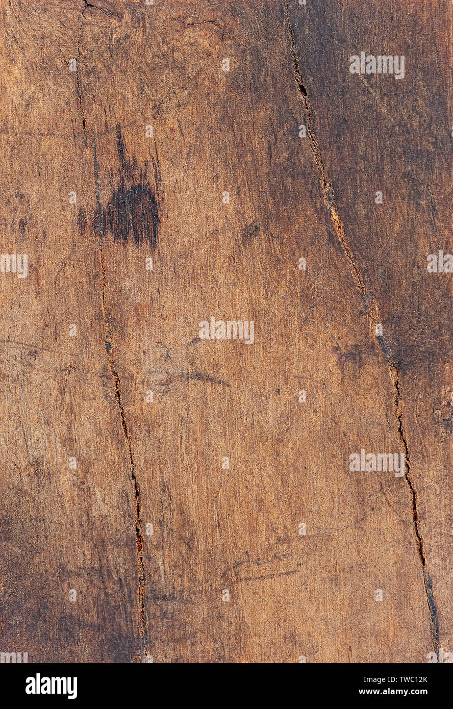 Oak tree wood textured background Stock Photo - Alamy