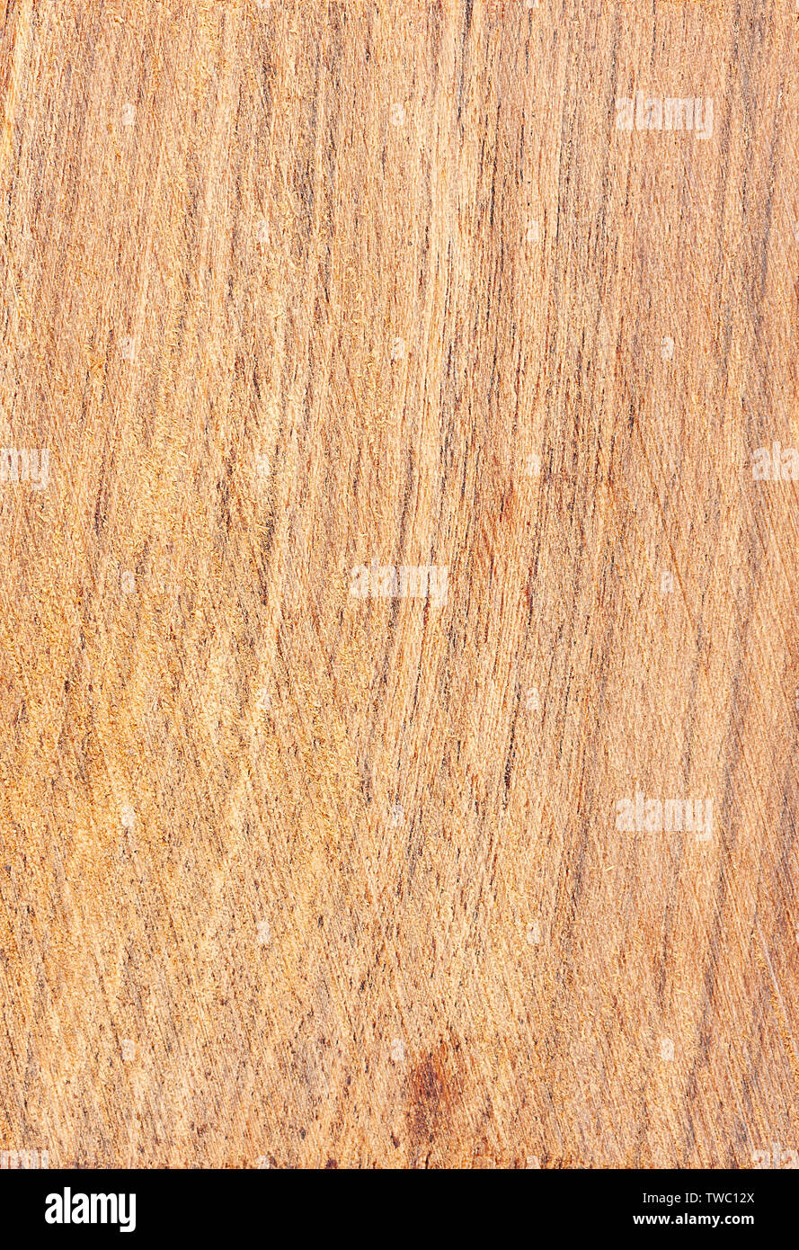 Wood panel with vine hi-res stock photography and images - Alamy