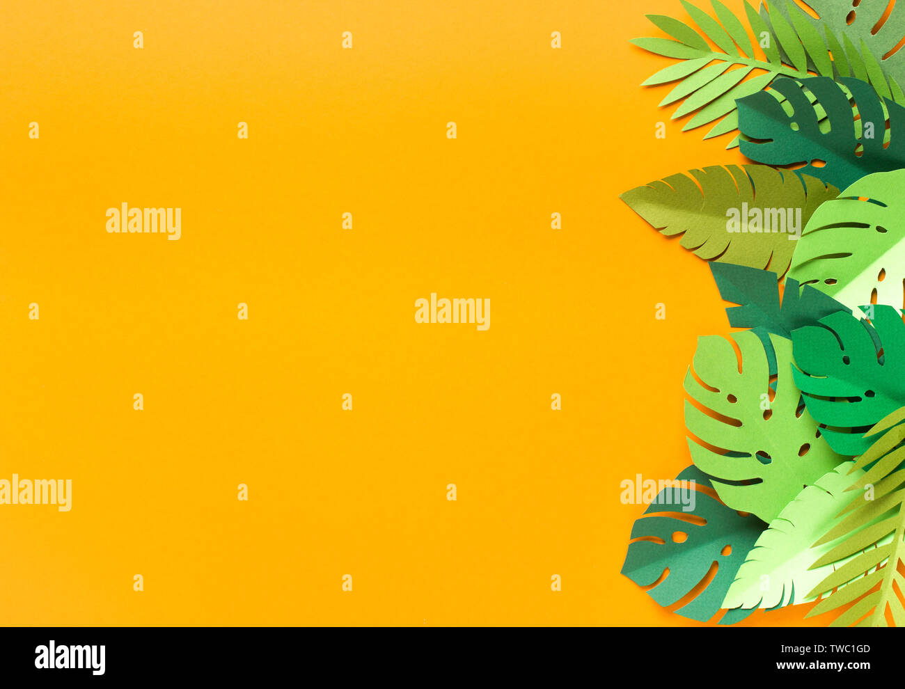 Piece of jungles on yellow summer background with free space for your ...